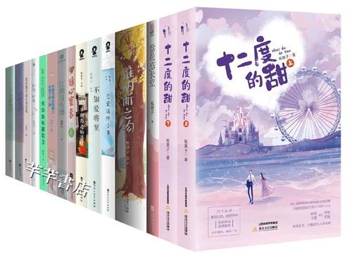 板栗子小说作品集图标