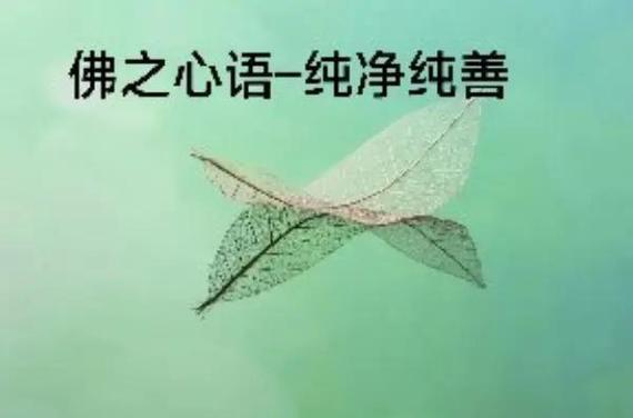 孩子偷拿家里的钱该如何处理图标