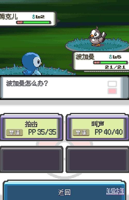 口袋妖怪nds802改版图标