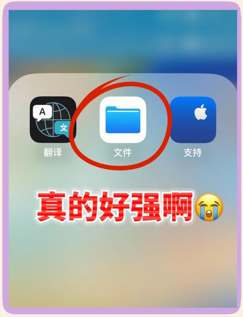 苹果手机储存文件夹在哪图标
