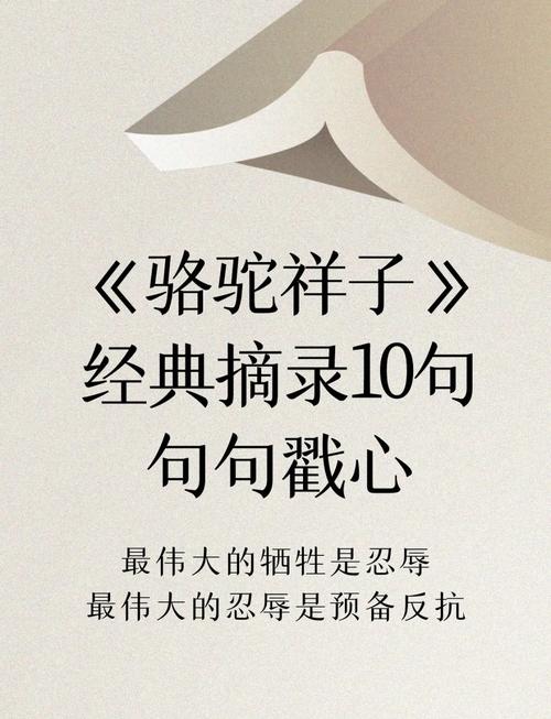 骆驼祥子的人生哲理图标