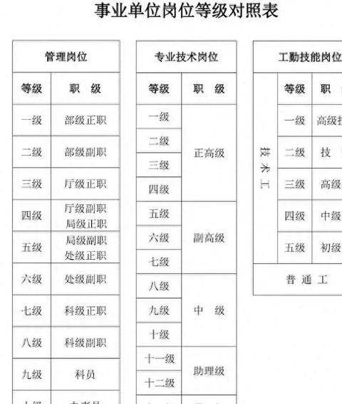 专业技术职务有哪些图标