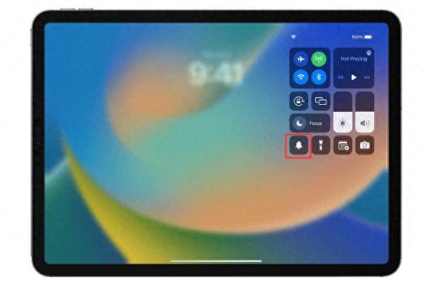 ipad pro没有声音图标