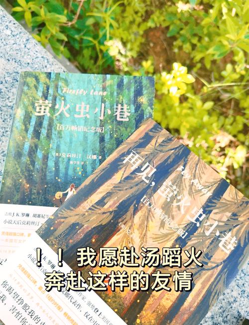 荧火小说by荆棘截图