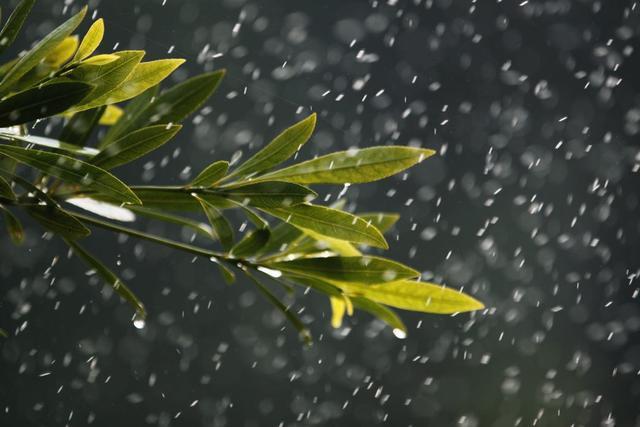 濛濛细雨怎么读截图