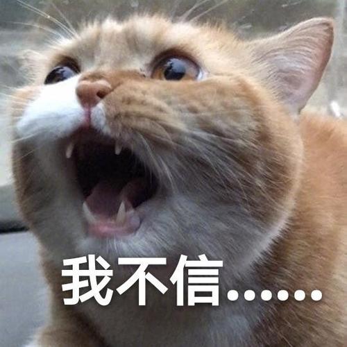 我不信怎么幽默回答图标