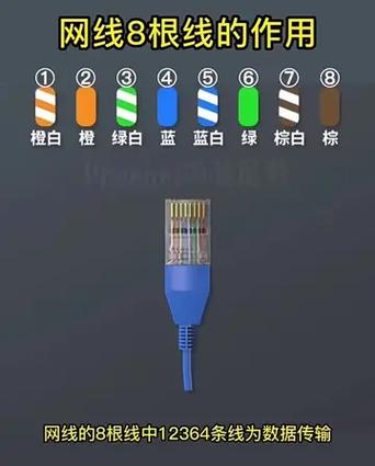 八根网线对接监控截图
