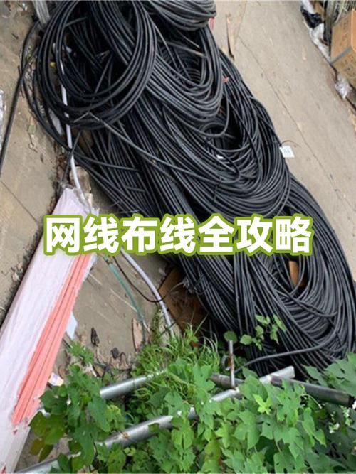 网线如何转换成电视线图标