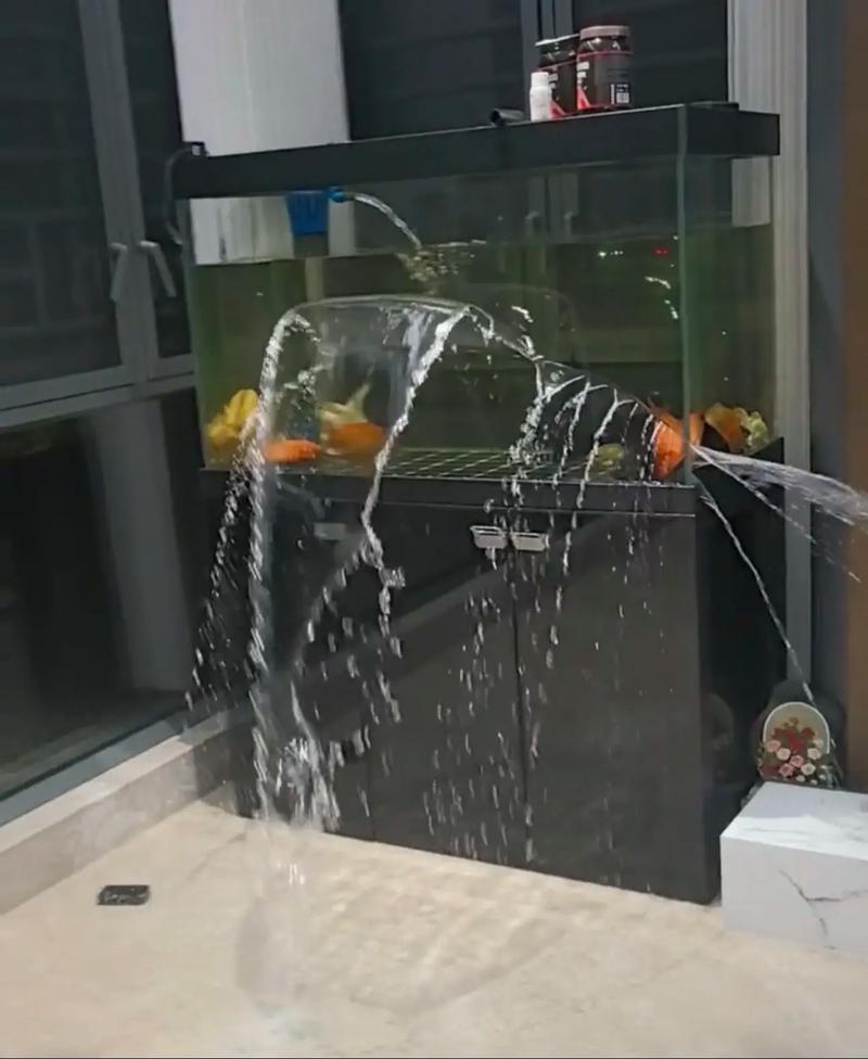 鱼缸爆裂是吉兆还是凶兆图标