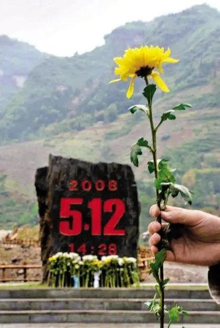 512的寿命一般是几年图标