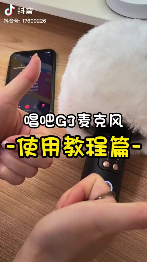 蛋仔如何开启麦克风权限图标