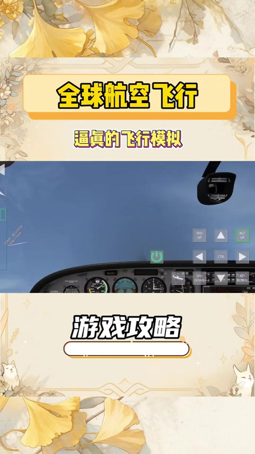 航空模拟器2020调中文教程图标