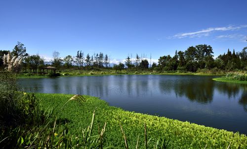 尼康拍风景用什么模式图标