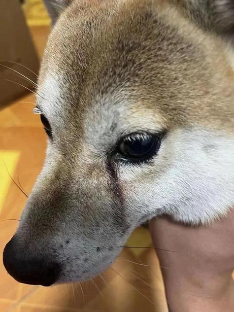 情侣伤感的图片截图
