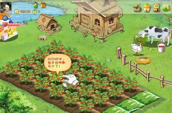 偷菜之开心农场图标