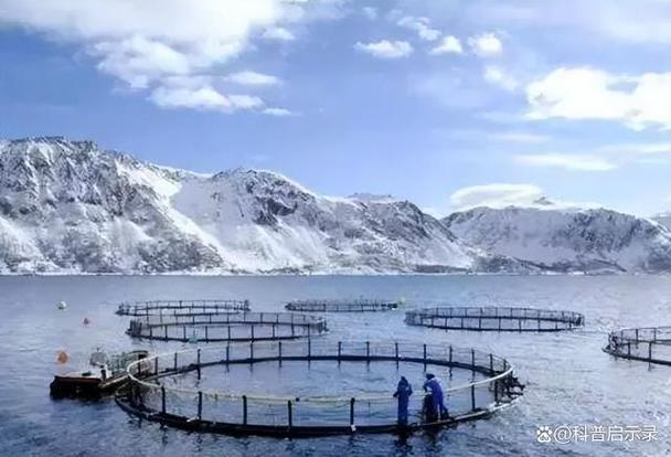 深海牧场图标