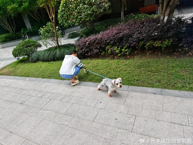 小区一块遛狗认识的公务员截图
