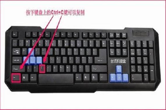 复制到剪贴板的内容在哪找图标