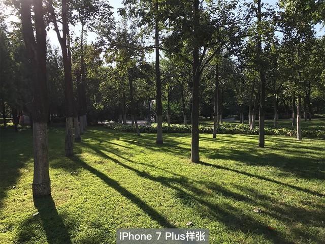 苹果8拍照效果怎么样图标