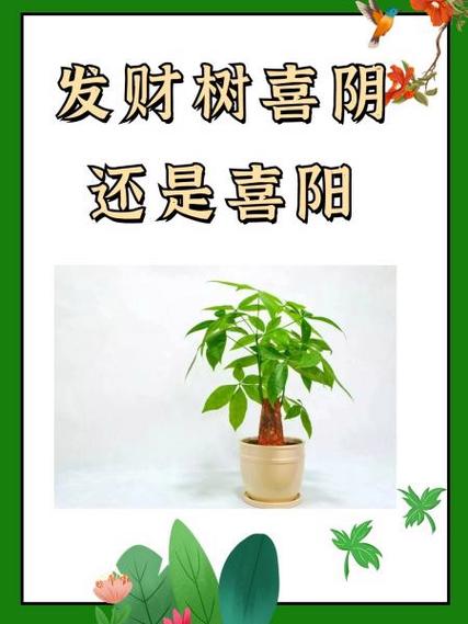 发财树app图标