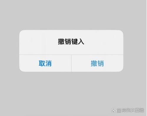 苹果手机为啥撤回不了图标