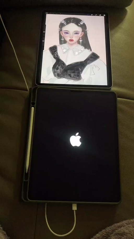 ipad充电一直白屏图标