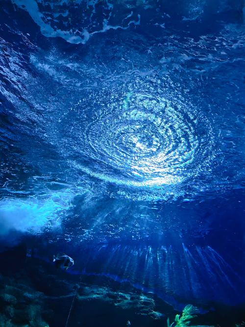 深海深海迷迷航图标