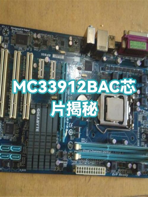 BAC芯最新准确消息图标