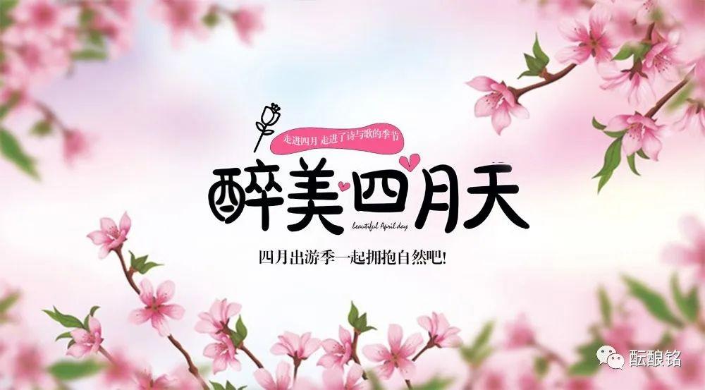 最美人间四月天,不负春光不负卿图标