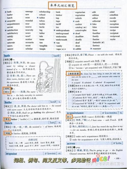 红宝书背完什么水平图标