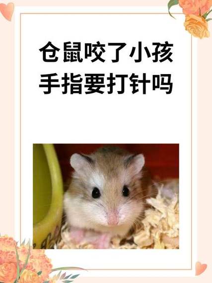 仓鼠咬了要打针吗图标