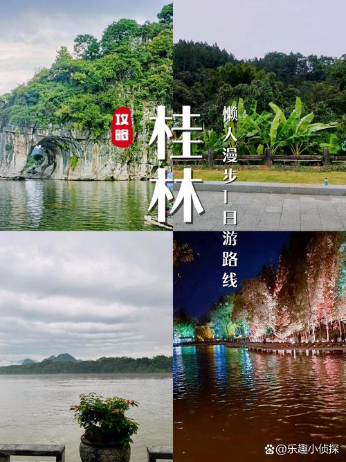 桂林桂骋网图标