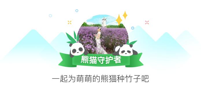 安卓禁止软件联网图标