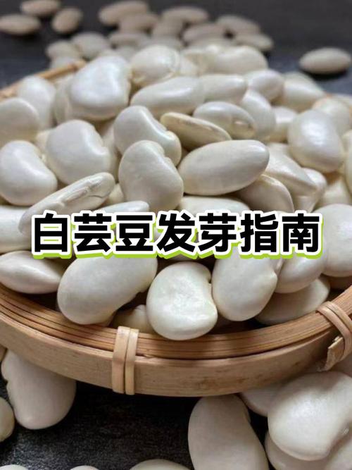白芸豆和什么搭配好图标
