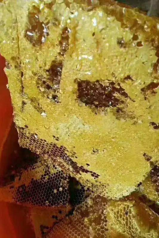 怎么打自家广告蜂蜜图标