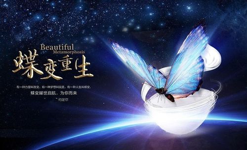 蝉蜕的过程视频图标