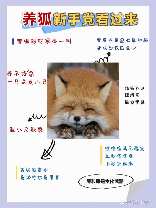 狐狸生产征兆有哪些图标