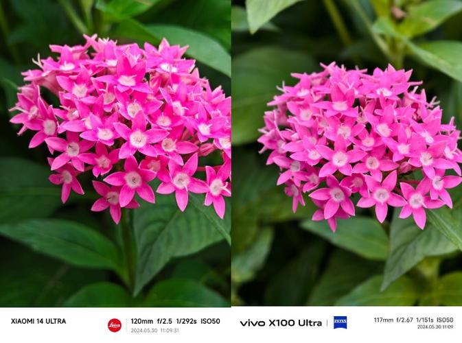 vivo和小米可以互传吗截图