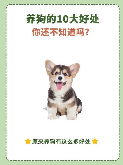 养狗的好处图标