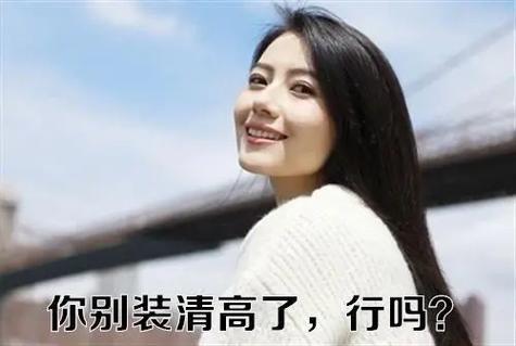 一个男人骂女人装清高图标