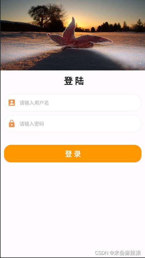 Android登录界面截图
