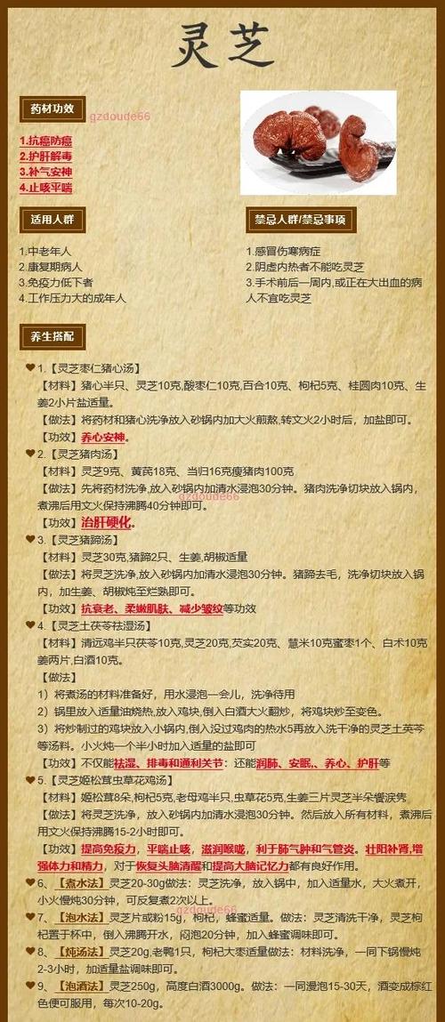 灵芝的功效与主治图标