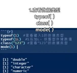 r语言和c语言哪个难图标