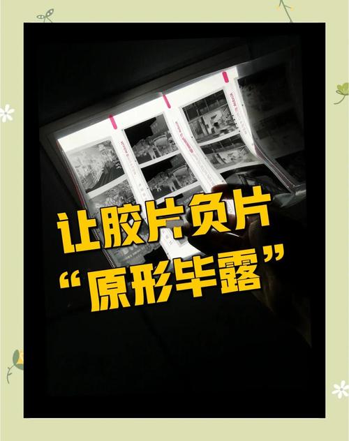 苹果手机屏幕变成负片图标