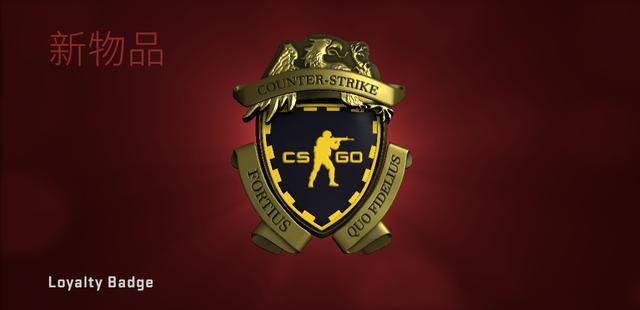 csgo忠诚徽章的意义图标