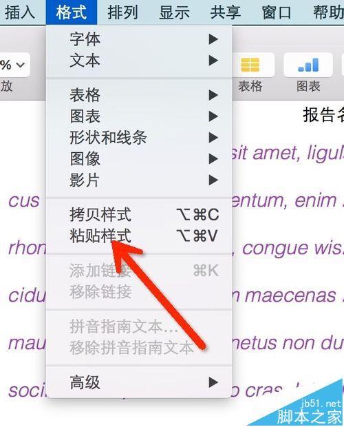 苹果电脑怎么复制粘贴文件截图