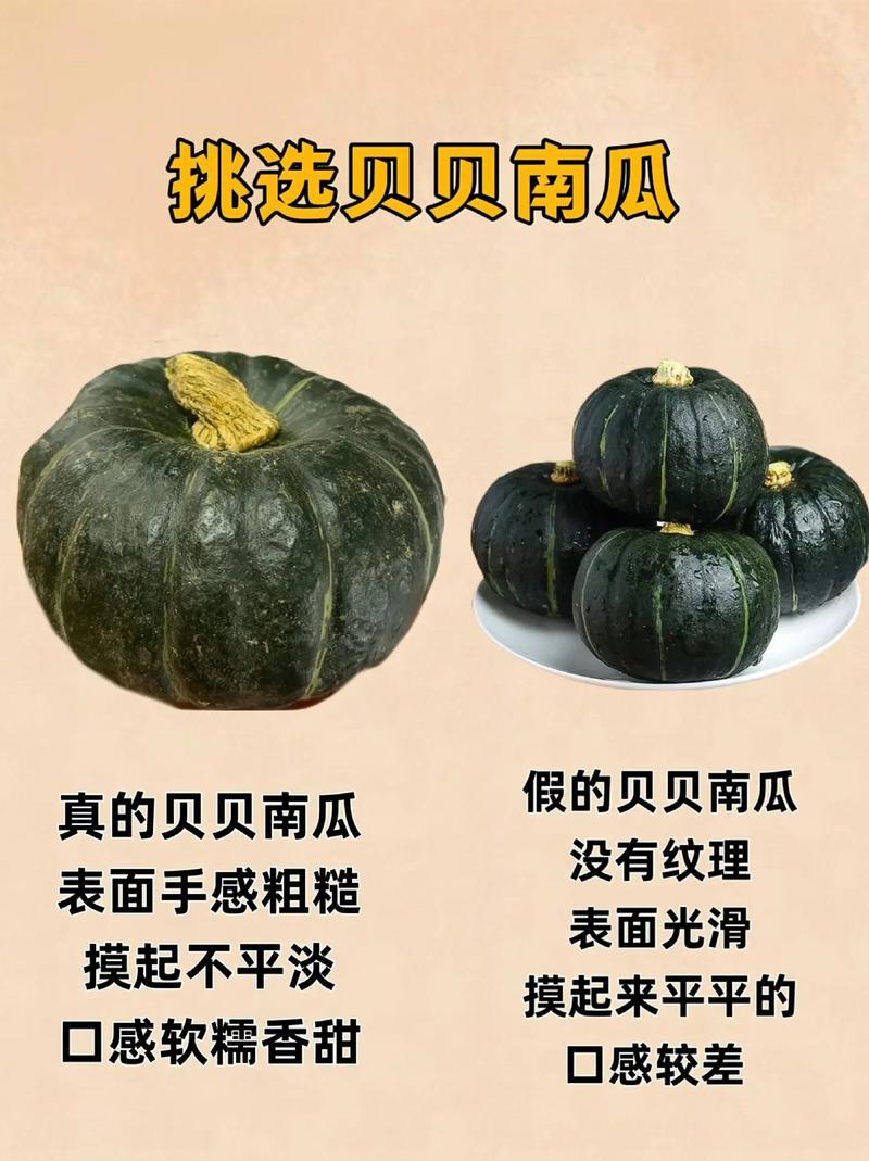 怎样挑选南瓜图标