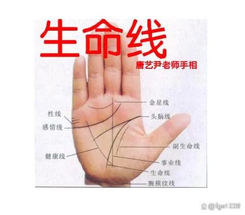 生命线短寿命就短吗图标