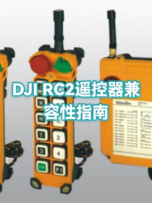 大疆模拟器支持什么遥控器图标