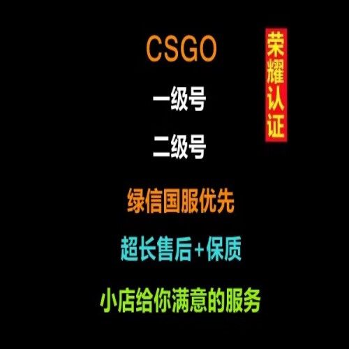 csgo国服重新连接不了图标